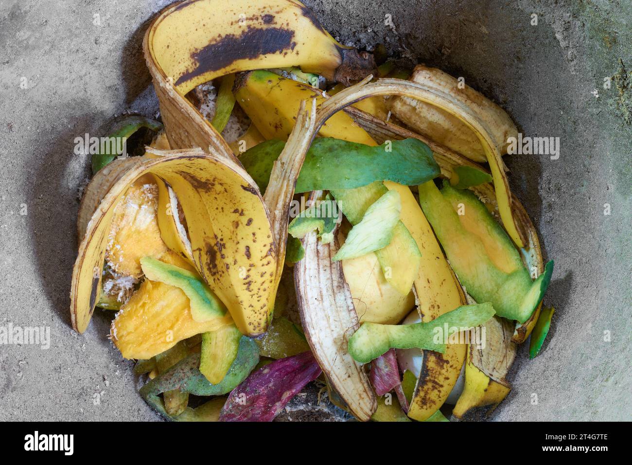 Restes de légumes Banque de photographies et d’images à haute ...