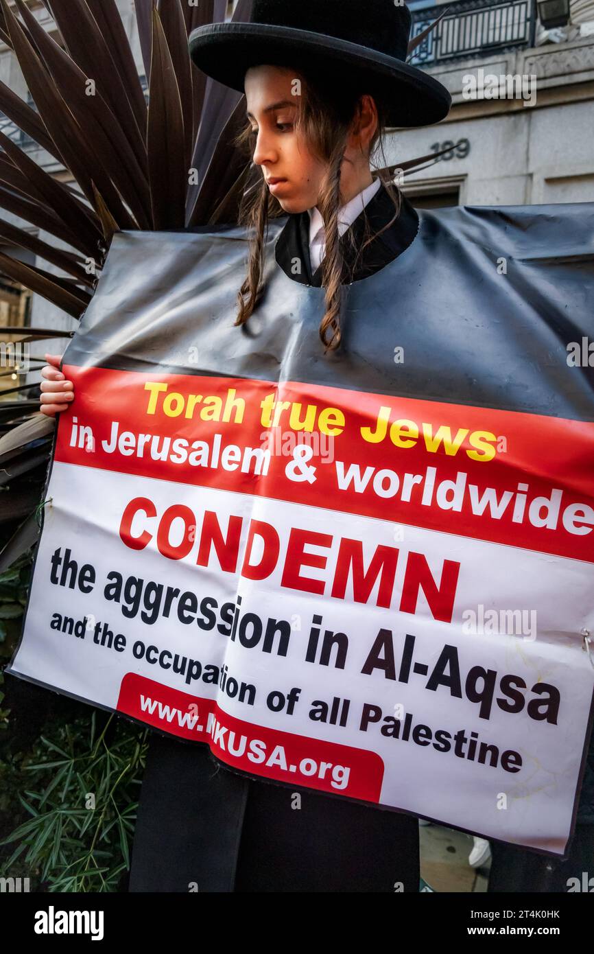 Protestations pro palestiniennes Banque de photographies et d’images à ...