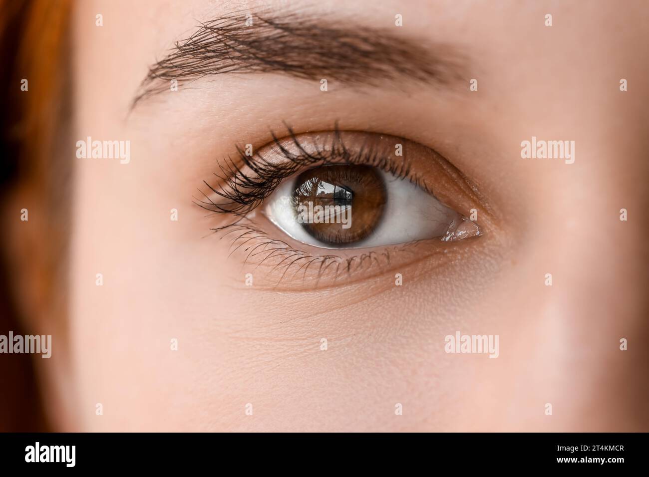 Femme aux yeux noisette Banque de photographies et d’images à haute ...