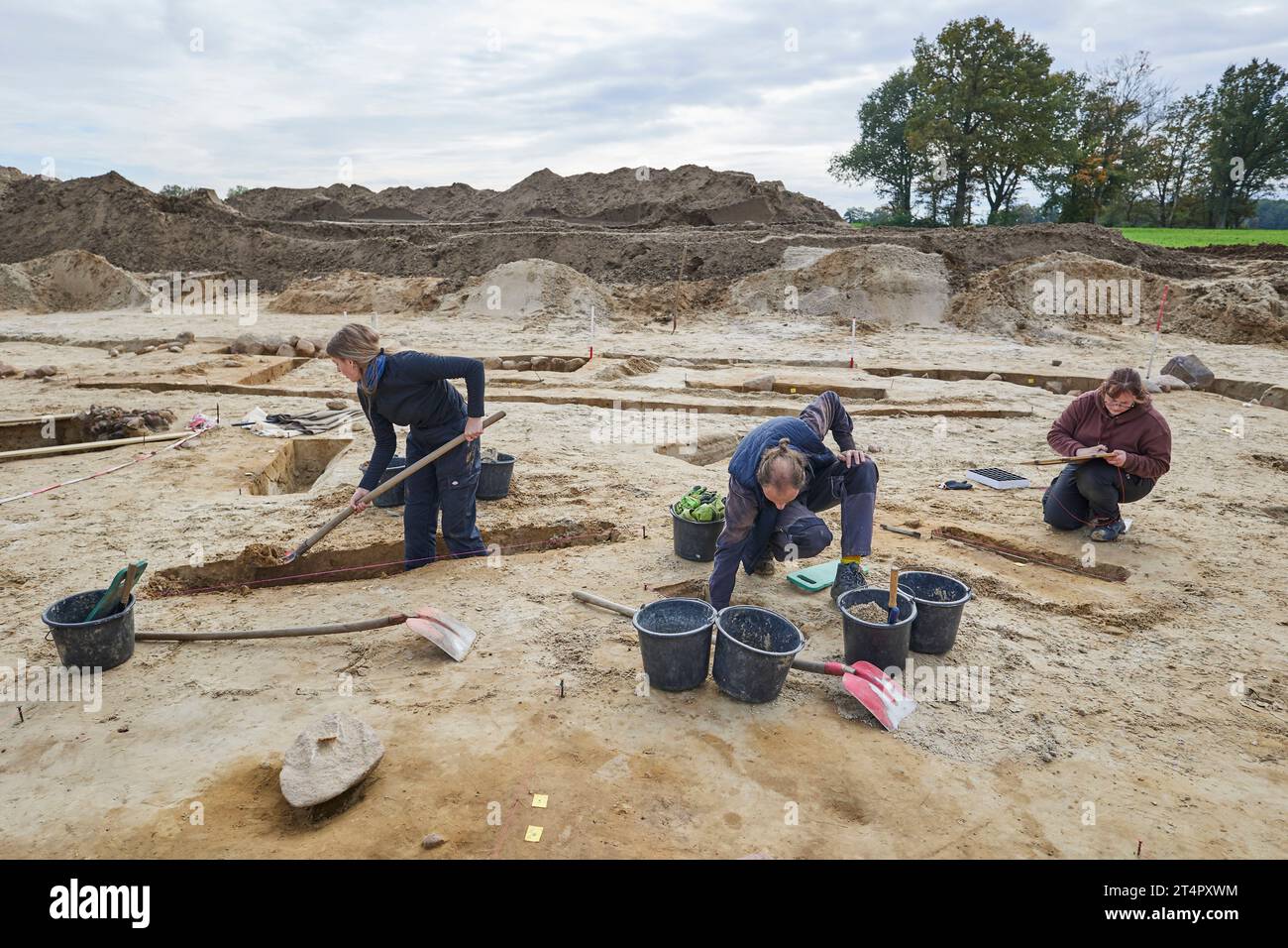 Seddin, Allemagne. 01 novembre 2023. Des étudiants des universités de ...