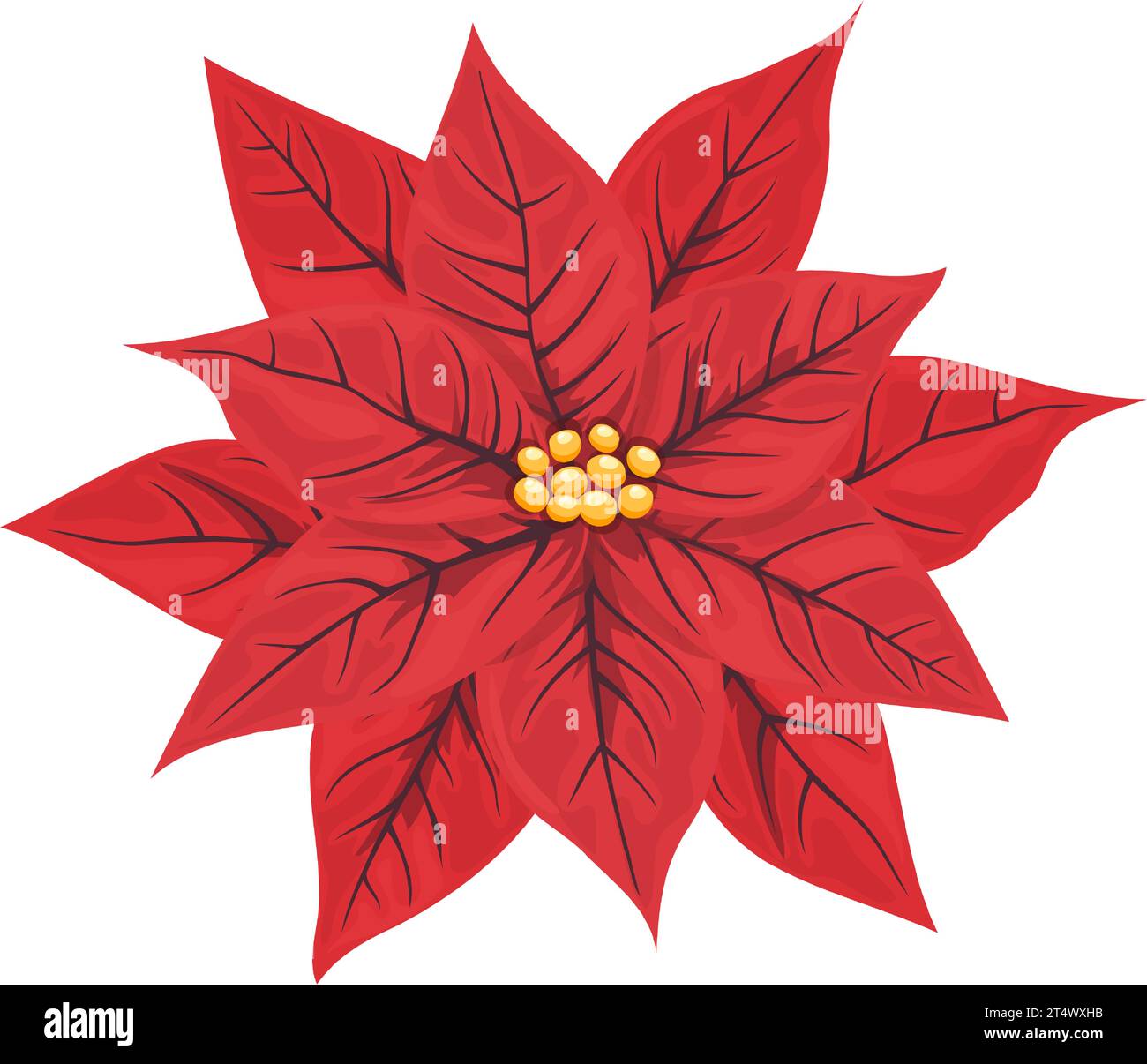 Euphorbia vector vectors Banque de photographies et d’images à haute ...