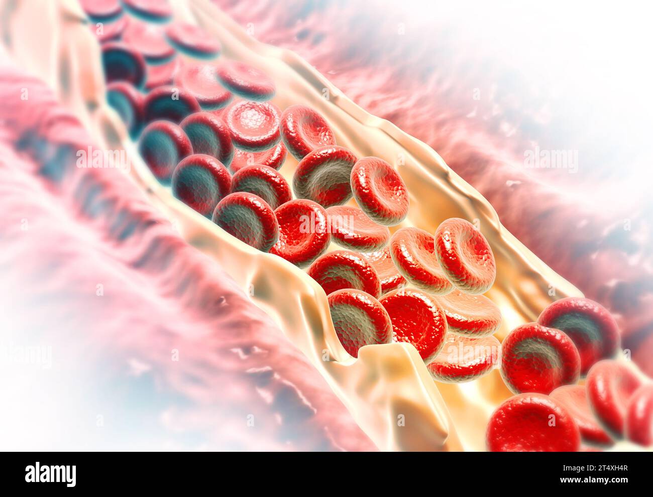 Sang coagulé Banque de photographies et d’images à haute résolution - Alamy