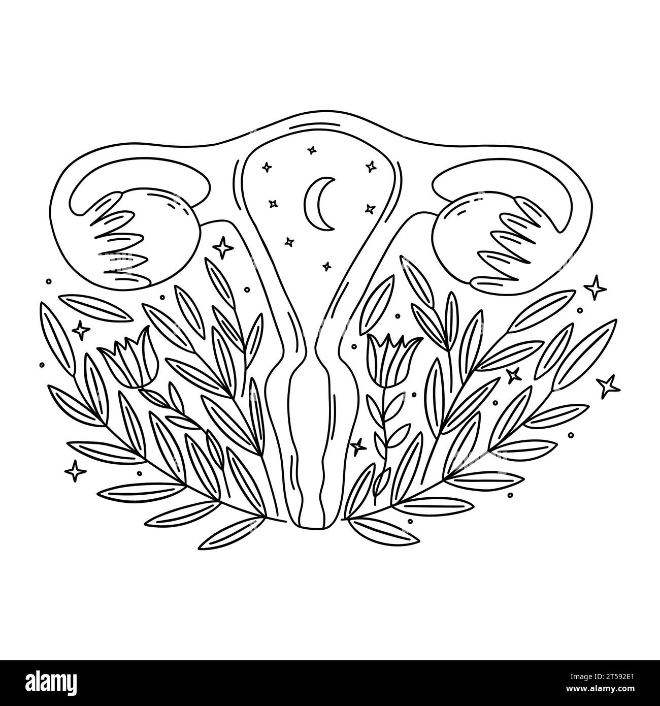 Utérus féminin avec univers à l'intérieur. Mois et étoiles. Brindilles ...