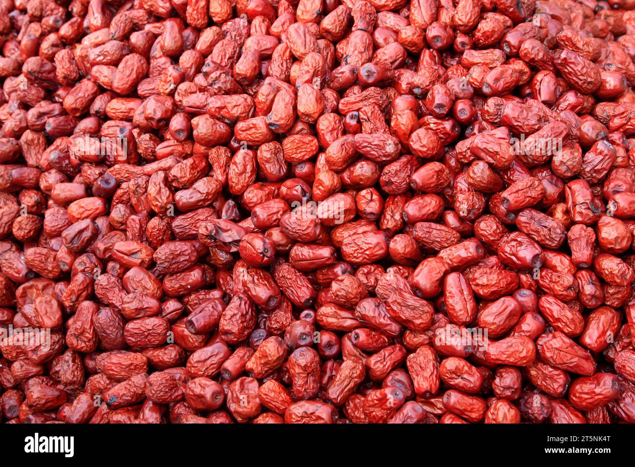 Jujube rouge Banque de photographies et d’images à haute résolution - Alamy