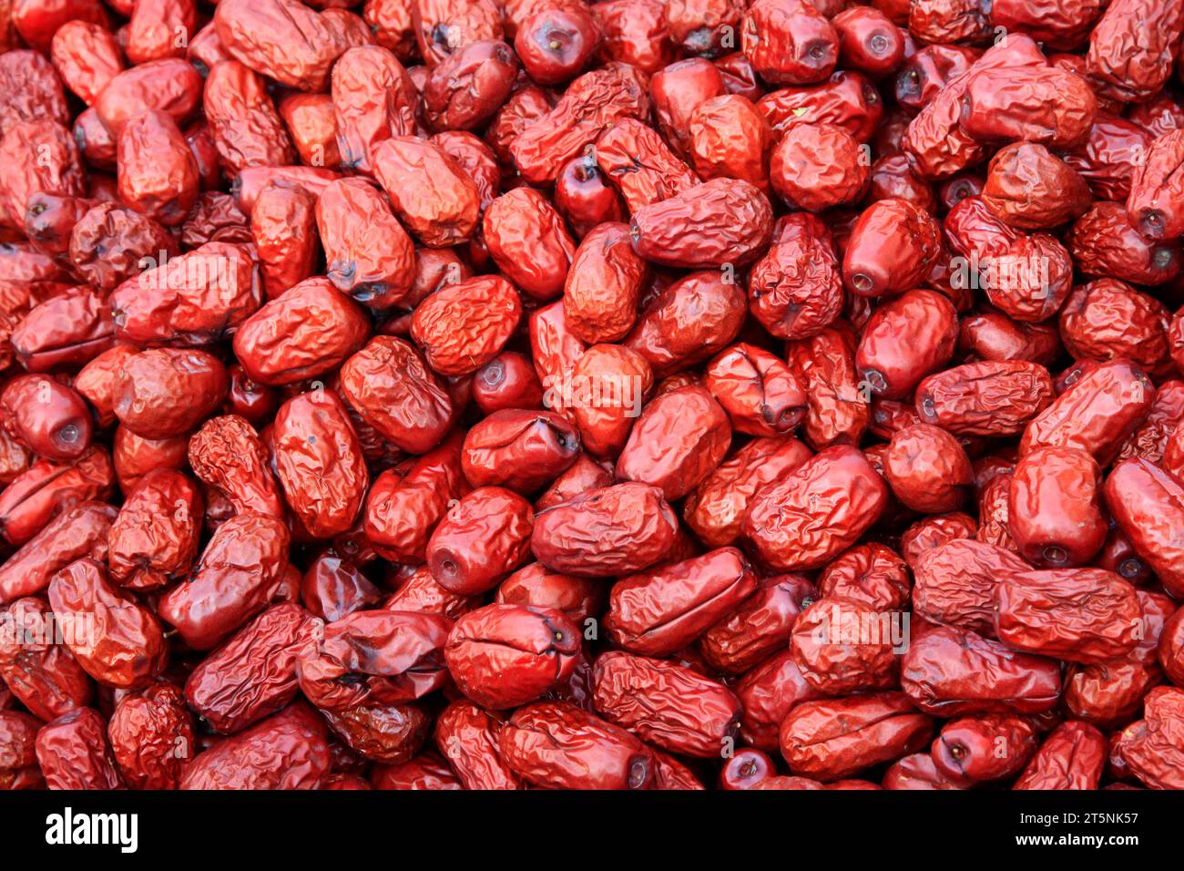 Jujube rouge Banque de photographies et d’images à haute résolution - Alamy
