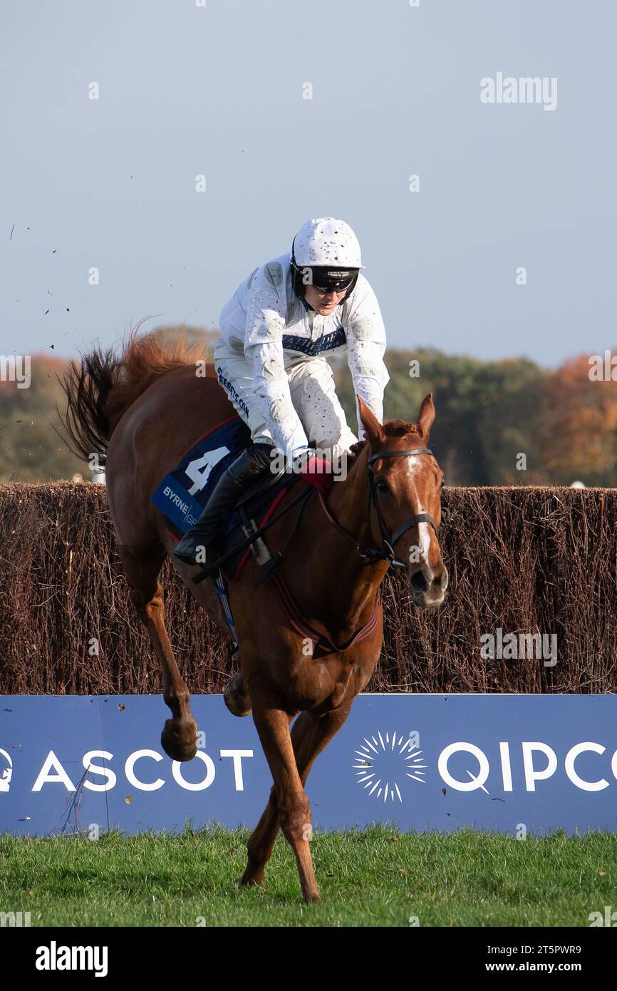 Ascot, Berkshire, Royaume-Uni. 4 novembre 2023. Horse Red Rookie monté ...
