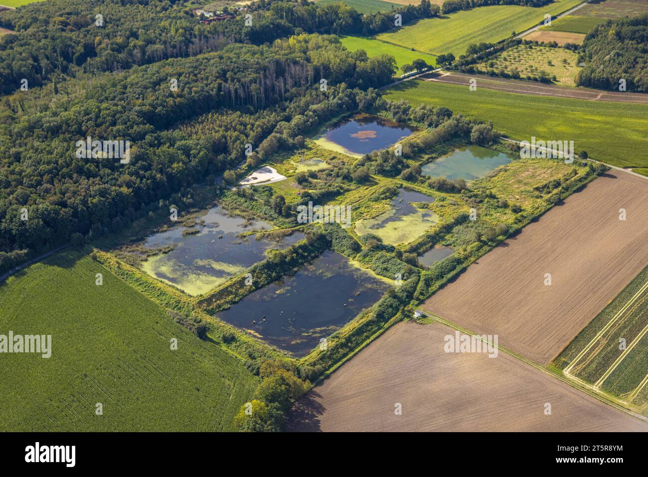 Vue aérienne, ancienne décharge de boues d'épuration, Halingen, Menden ...