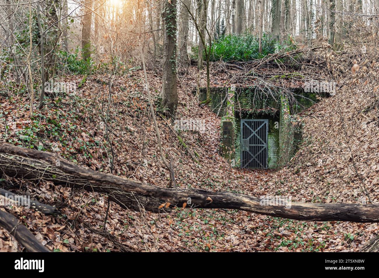 Vieux de la Seconde Guerre mondiale abandonné abri de bunker militaire ...