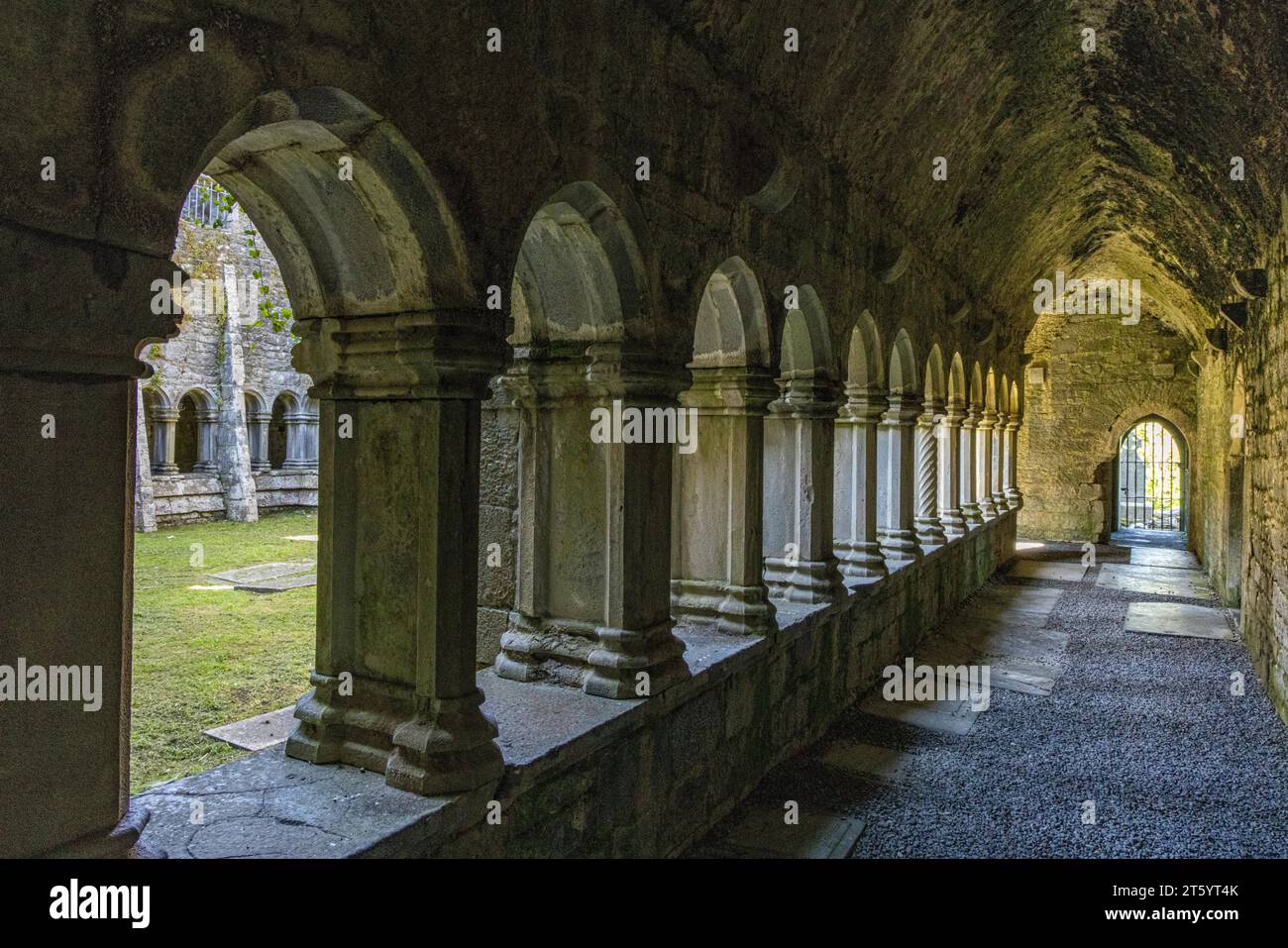 Quin abbey Banque de photographies et d’images à haute résolution - Alamy