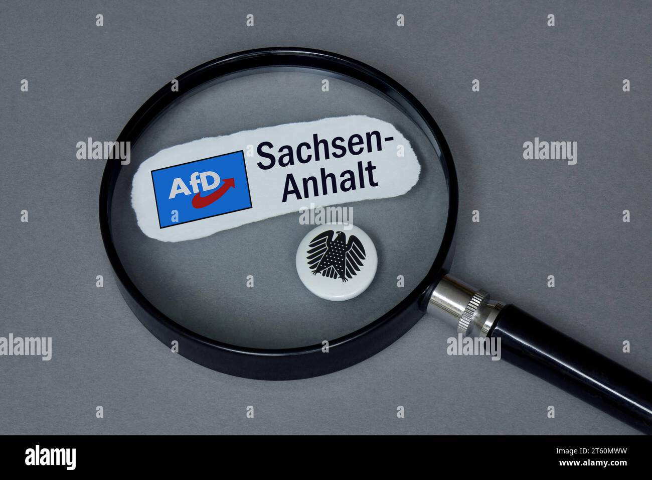 Logo afd Banque de photographies et d’images à haute résolution - Alamy