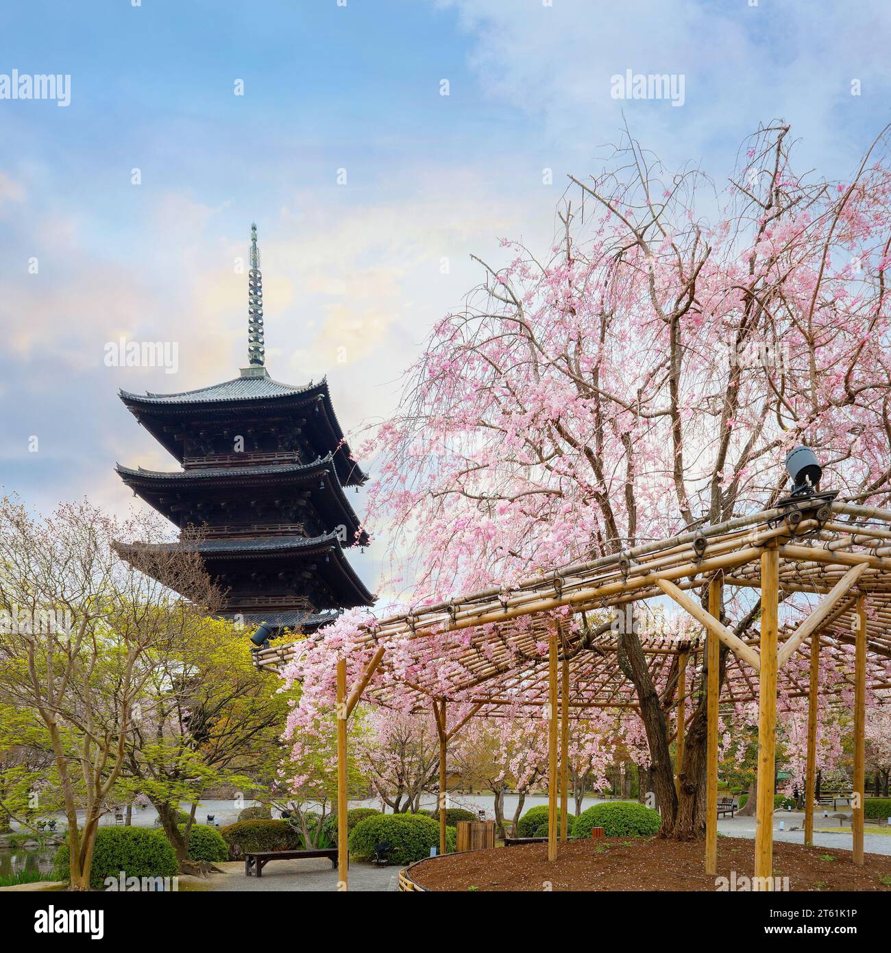 Kyoto, Japon - Mars 31 2023 : Temple Toji fondé au début de la période ...