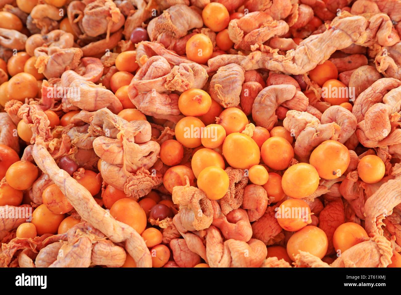 Chicken intestines Banque de photographies et d’images à haute ...