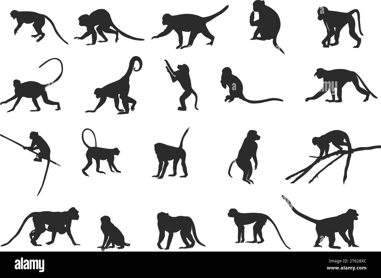 Silhouettes de singe, collection silhouette de singe, silhouette de ...