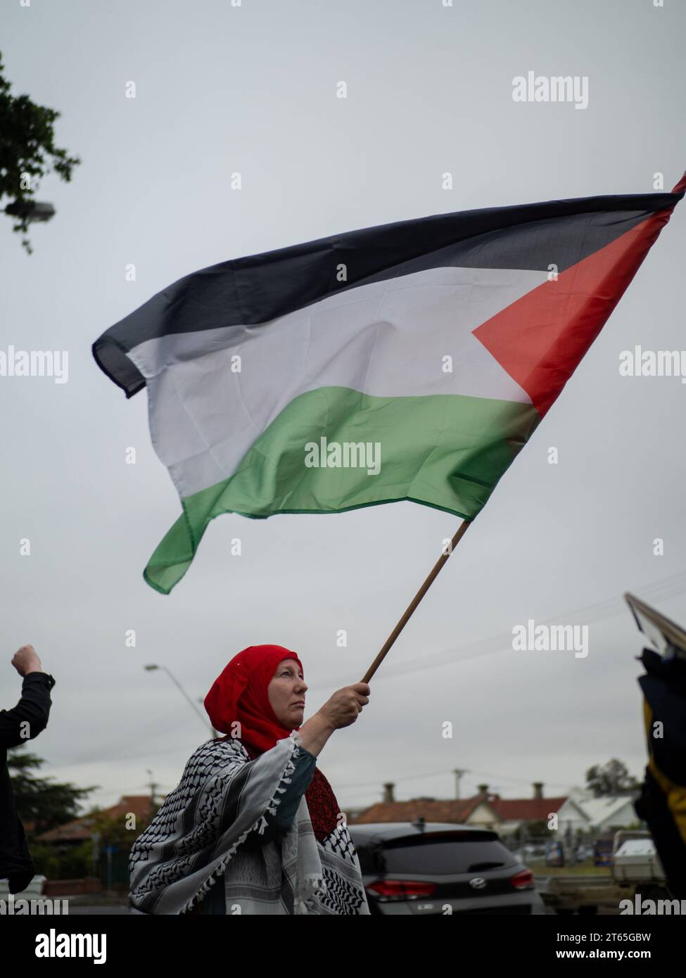 Rallye pro palestine australie Banque de photographies et d’images à ...