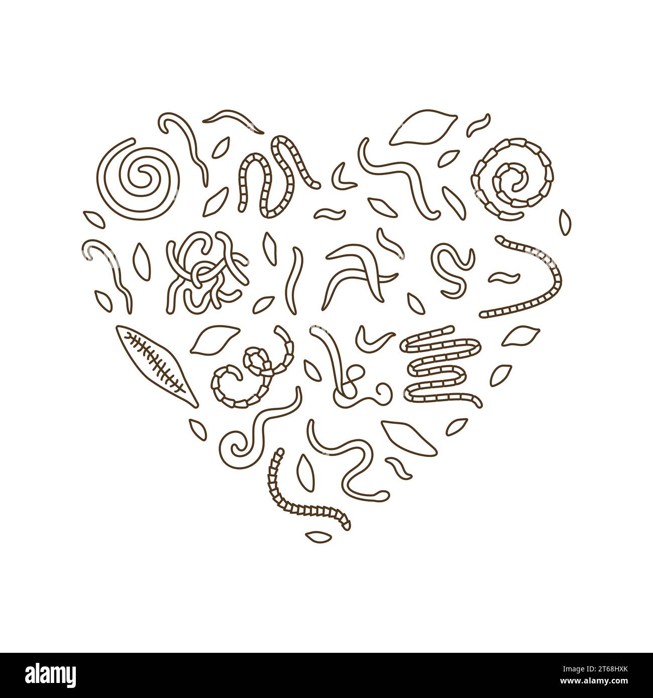 Vers intestinaux humain Banque de photographies et d’images à haute ...