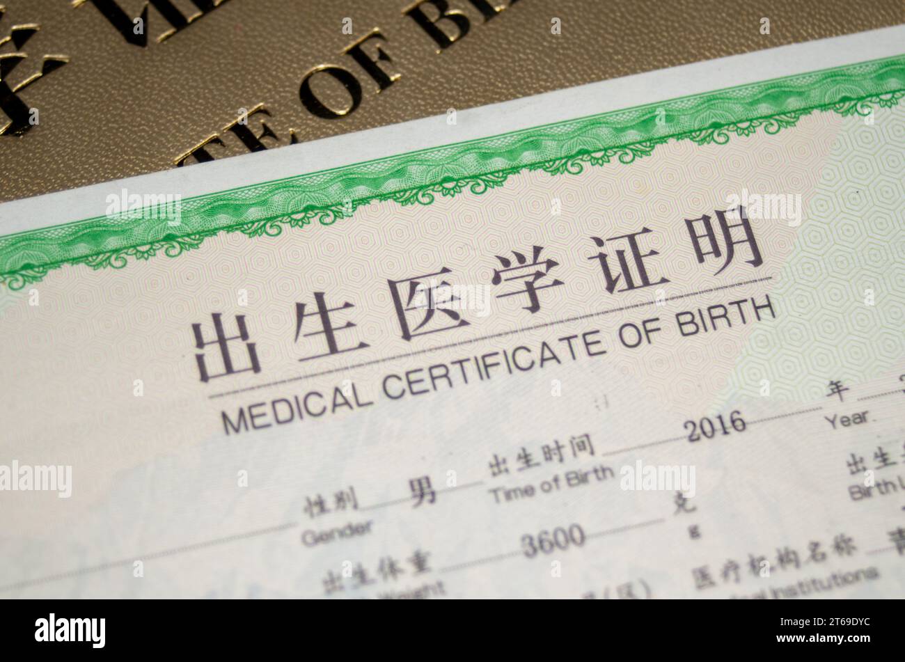 Certification of birth Banque de photographies et d’images à haute résolution - Alamy