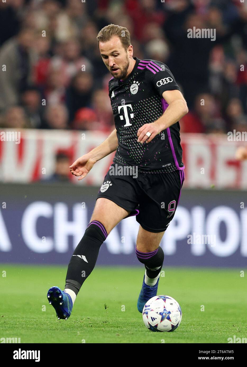 Harry Kane du Bayern Muenchen MUNICH, ALLEMAGNE - 08 NOVEMBRE : match ...