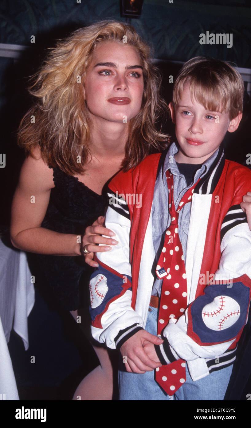 John culkin Banque de photographies et d’images à haute résolution - Alamy