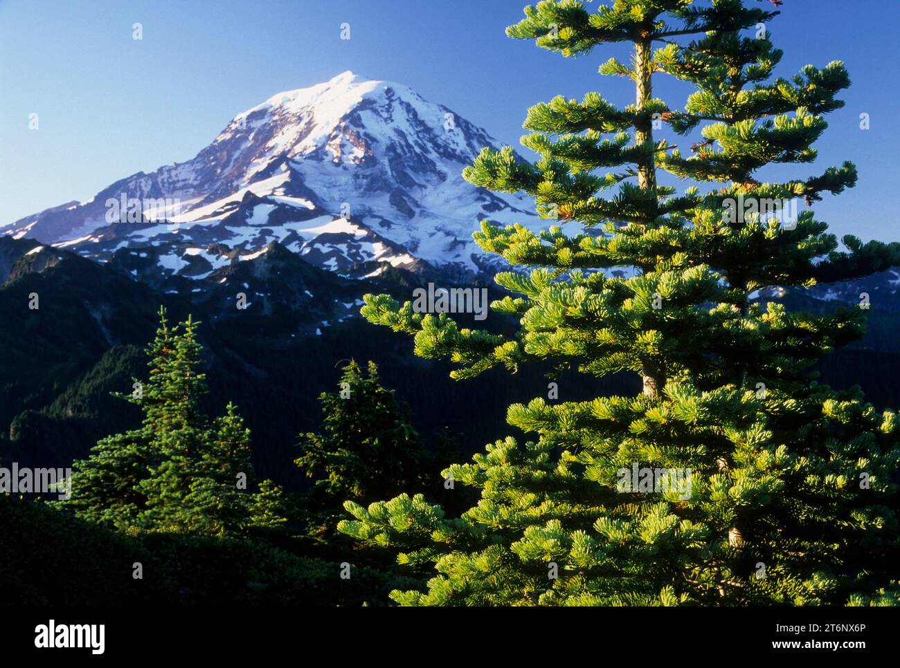 Tolmie peak Banque de photographies et d’images à haute résolution - Alamy