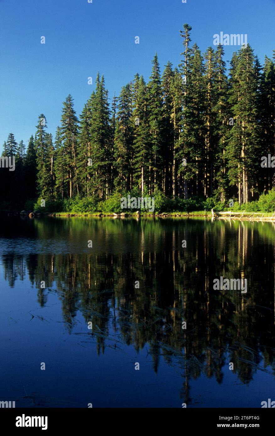 Indian heaven wilderness Banque de photographies et d’images à haute résolution - Alamy