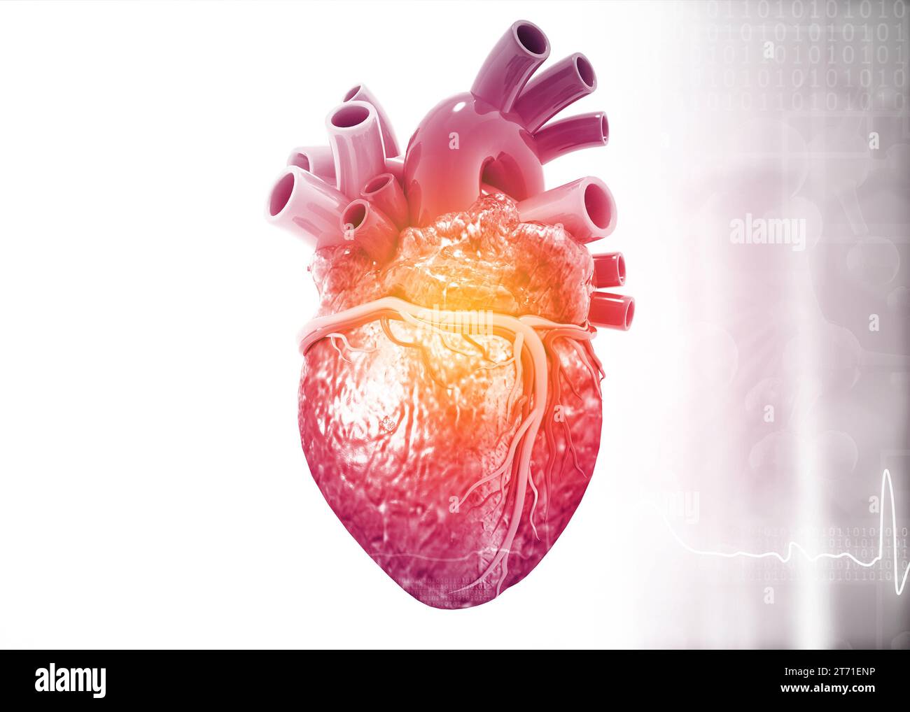 Coeur anatomique rouge 3d Banque de photographies et d’images à haute ...