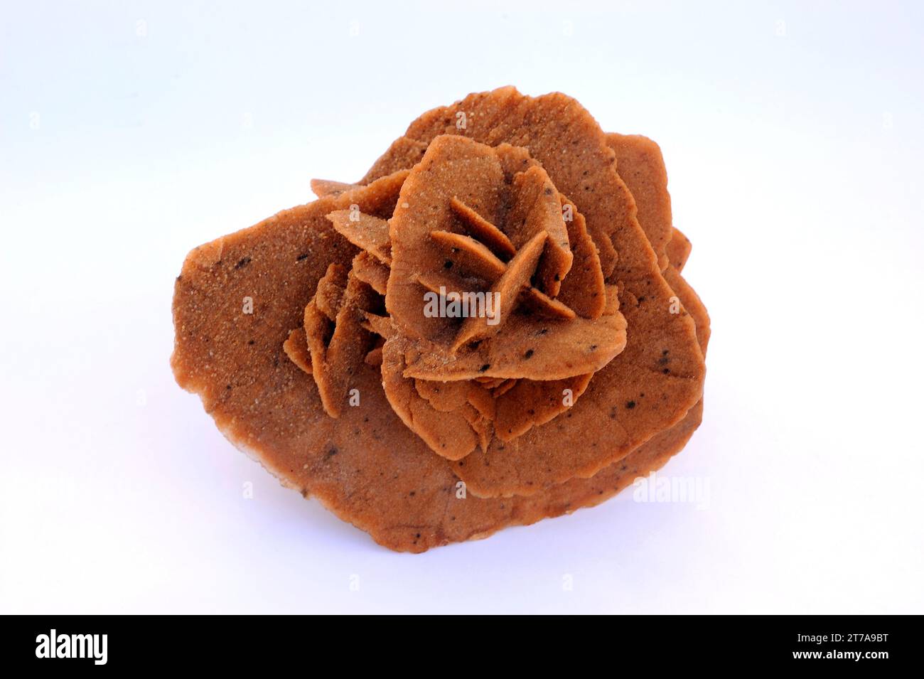 Rose de sable algerie Banque de photographies et d’images à haute ...