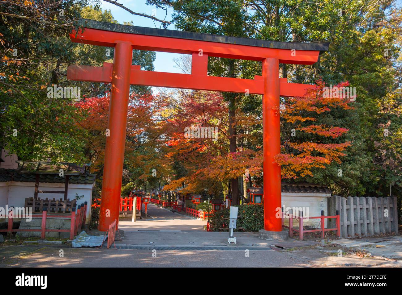 Torii porte en bois rouge Japon traditionnel dans les sanctuaires ...
