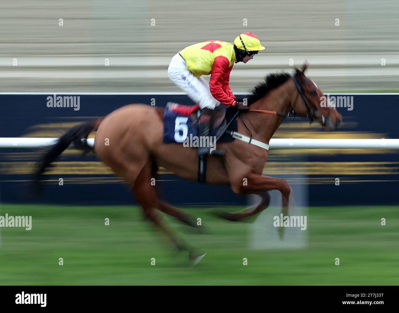 Photo de dossier datée du 23-01-2022 de Triple Trade, avec qui Joe ...