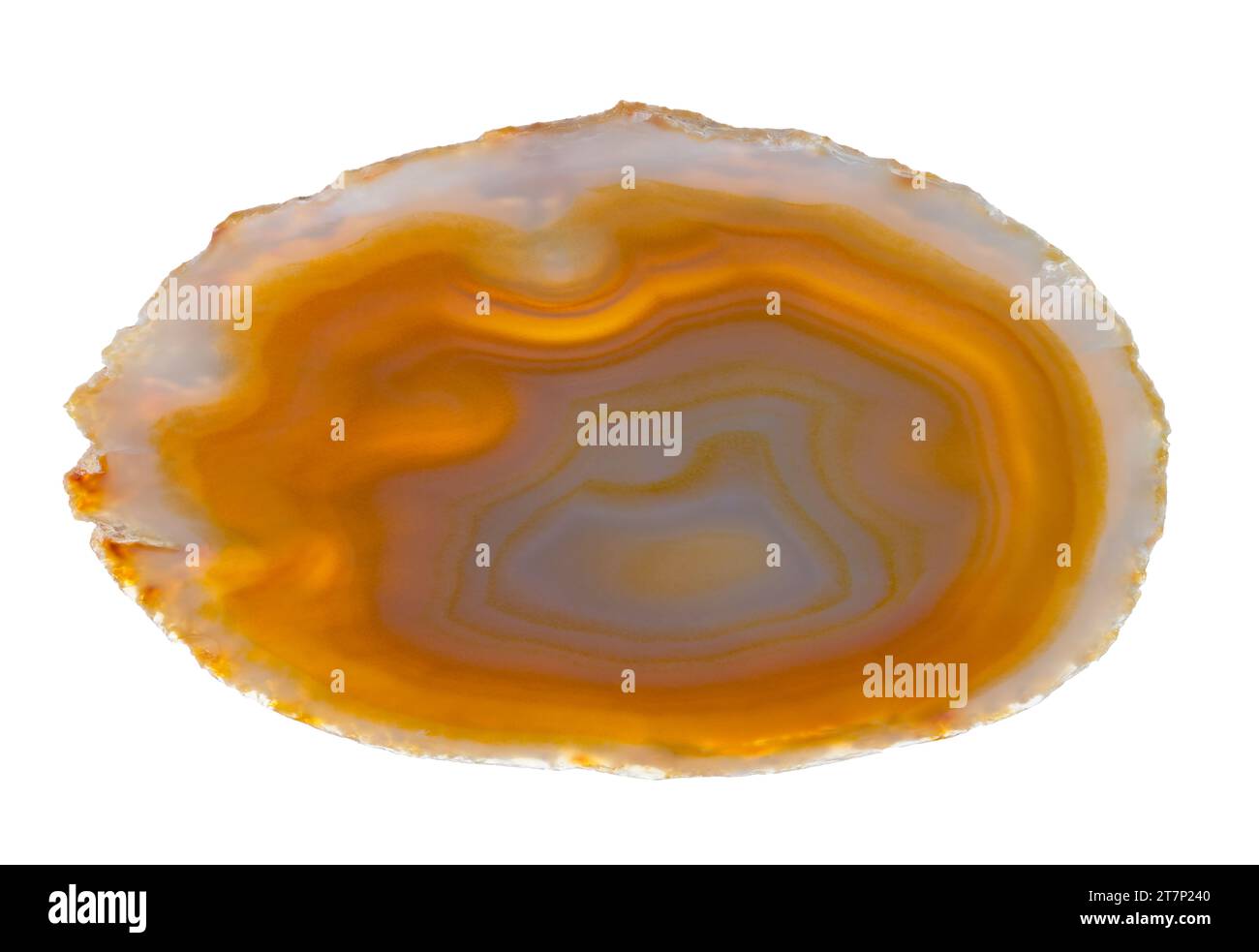 Courbes concentriques Banque d'images détourées - Alamy