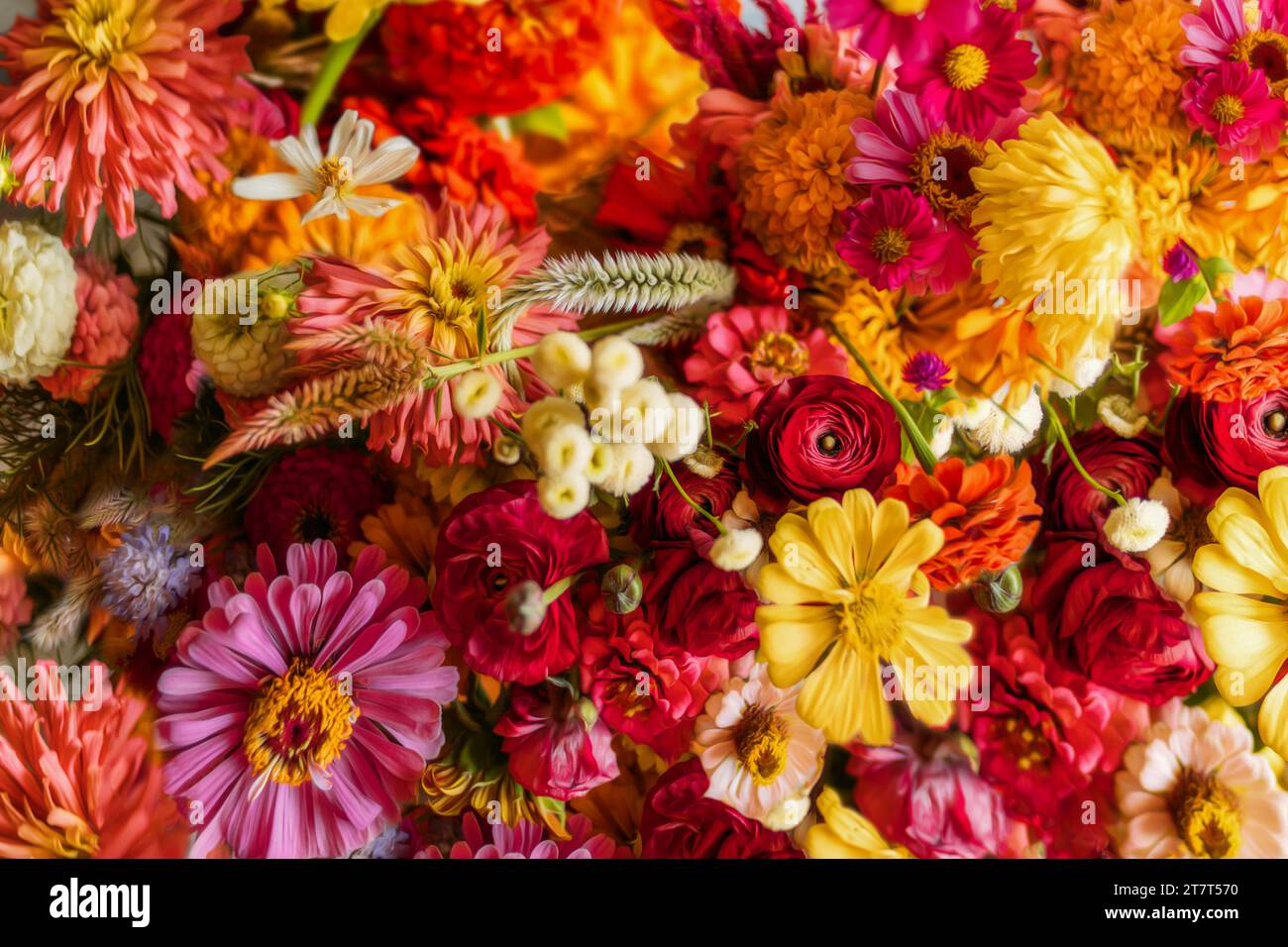 Giant bouquet Banque de photographies et d’images à haute résolution ...