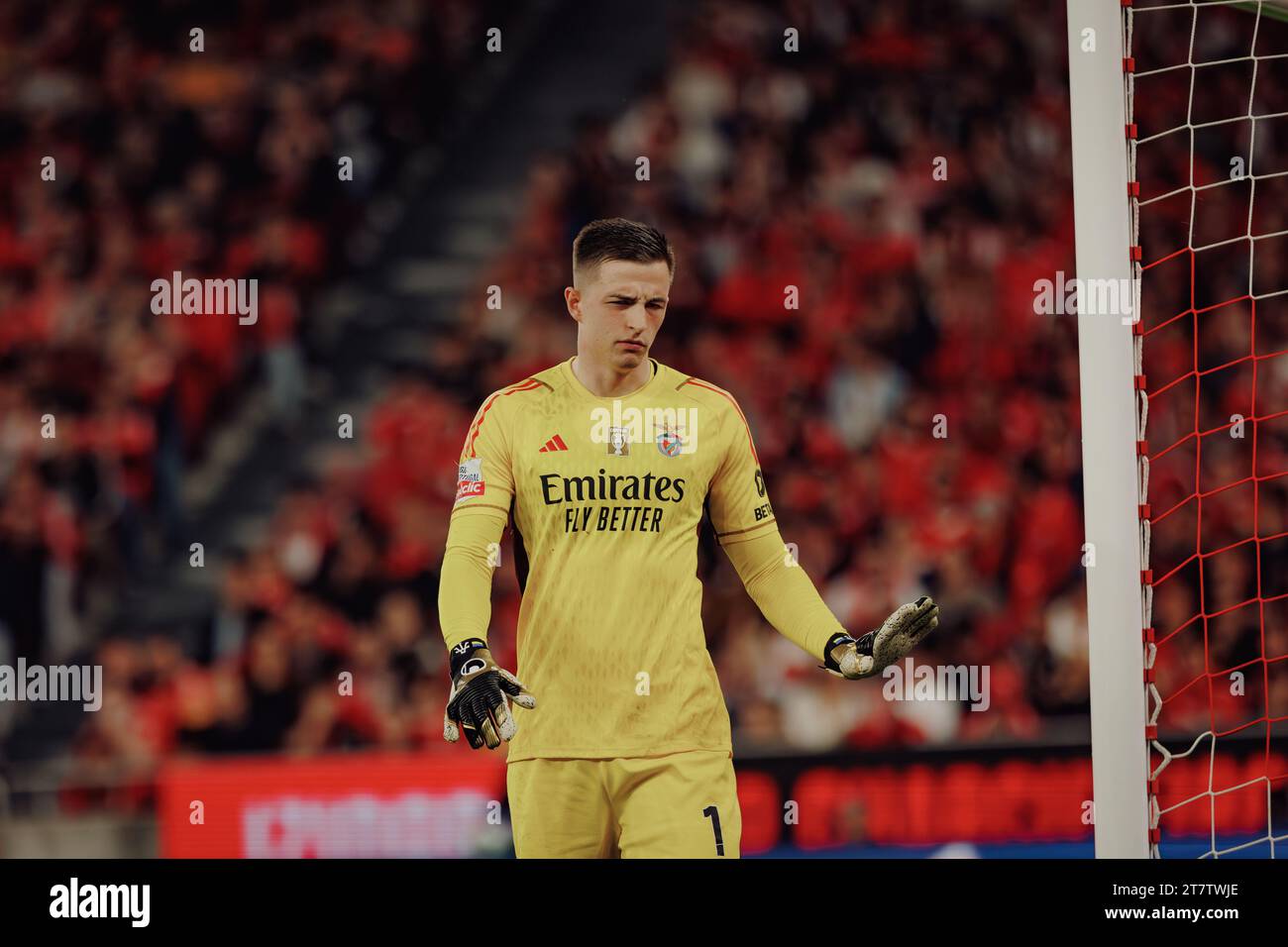 Anatoliy trubin Banque de photographies et d’images à haute résolution ...