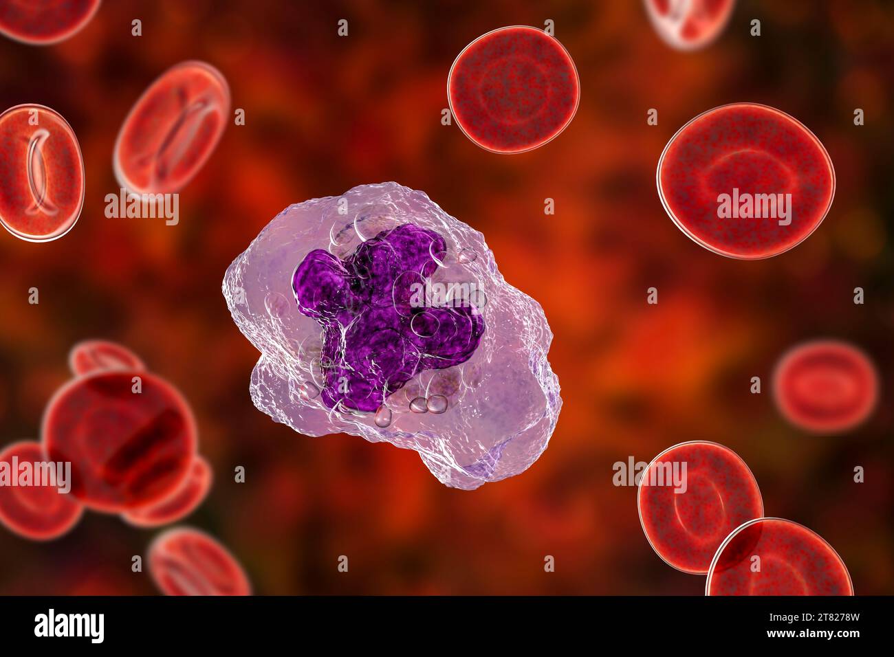 Monocyte immune system defense cells Banque de photographies et d ...