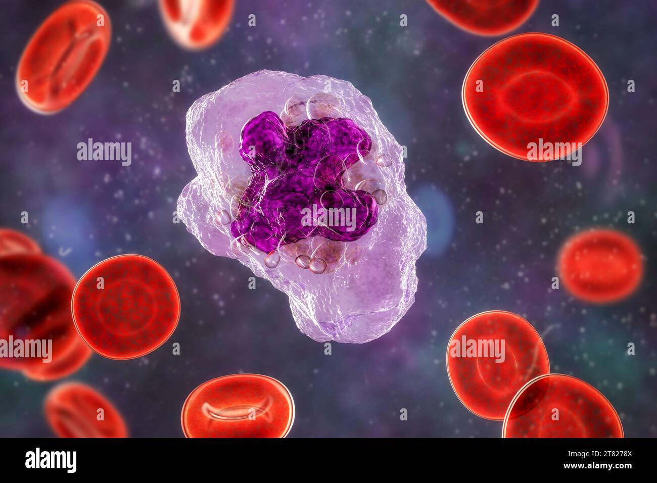 Monocyte immune system defense cells Banque de photographies et d ...