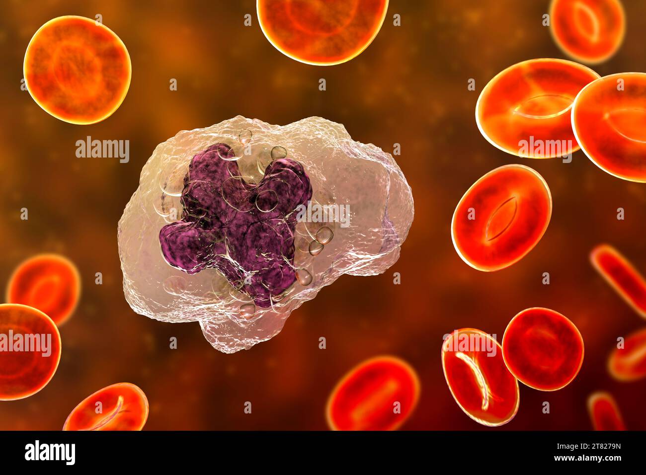 Monocyte immune system defense cells Banque de photographies et d ...