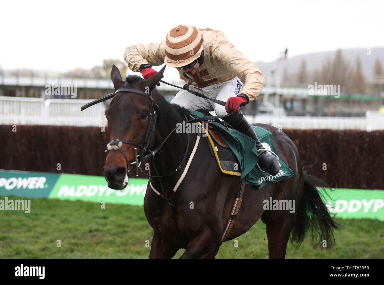 Broadway Boy est monté par Tom Bellamy qui revient à la maison pour ...