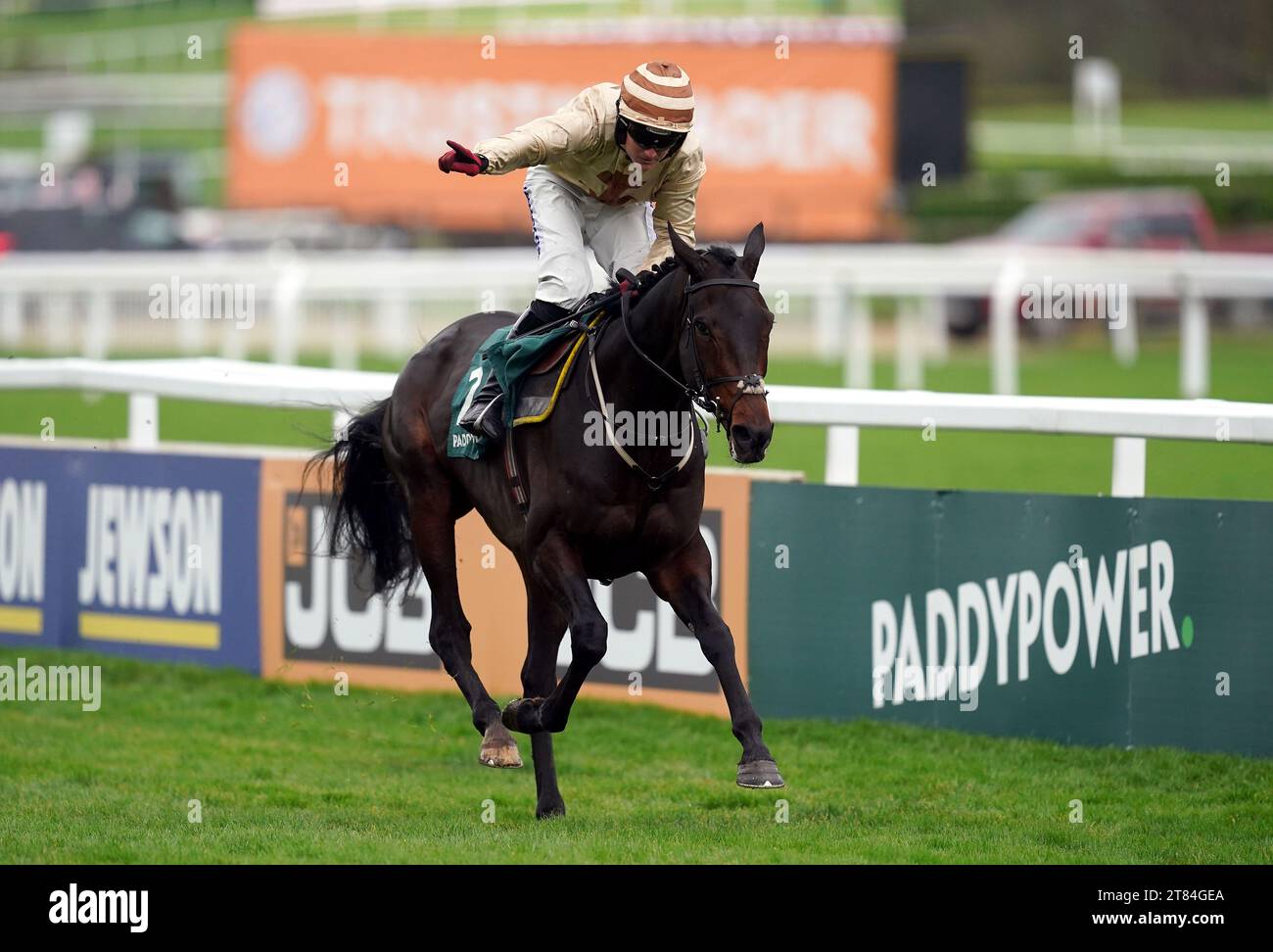 Broadway Boy est monté par Tom Bellamy qui revient à la maison pour ...