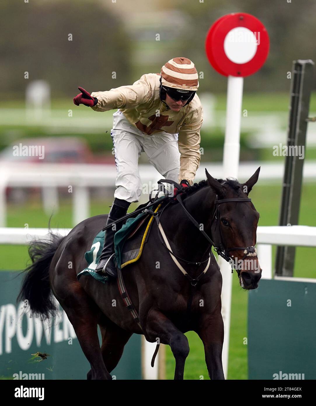 Broadway Boy est monté par Tom Bellamy qui revient à la maison pour ...