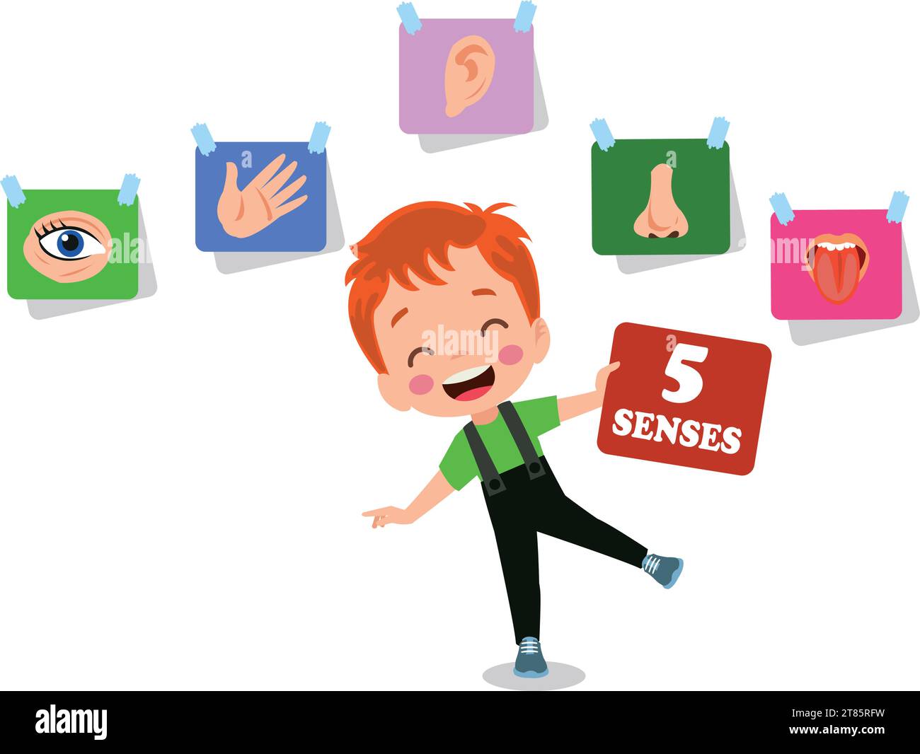 Five senses illustration Banque de photographies et d’images à haute ...