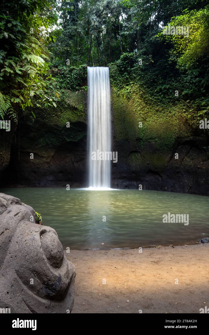 Une petite cascade large dans une gorge verte Banque de photographies ...