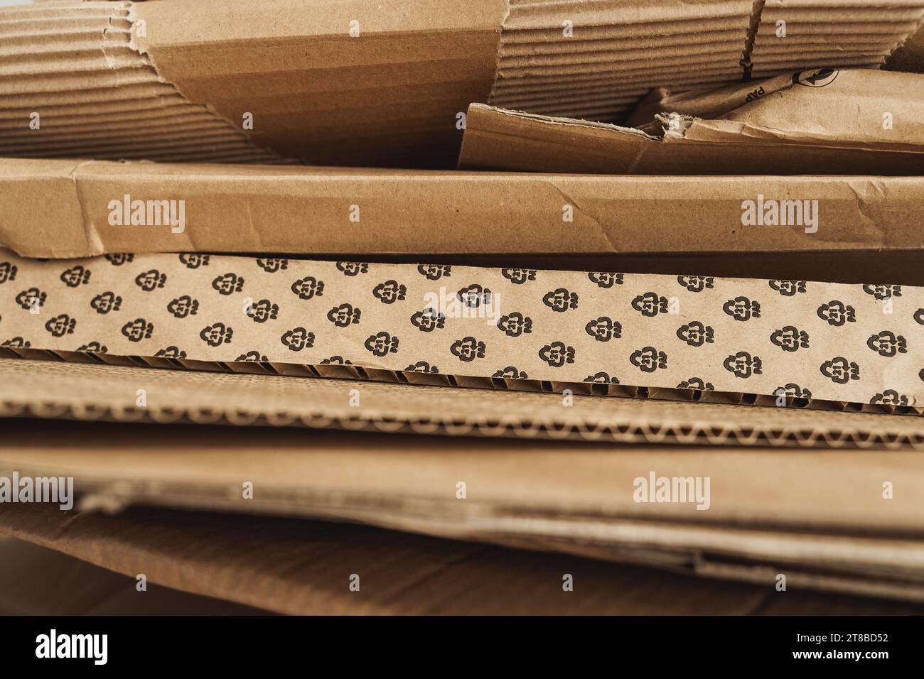 Plan rapproché de déchets de carton avec symbole PAP 21. Concepts de ...