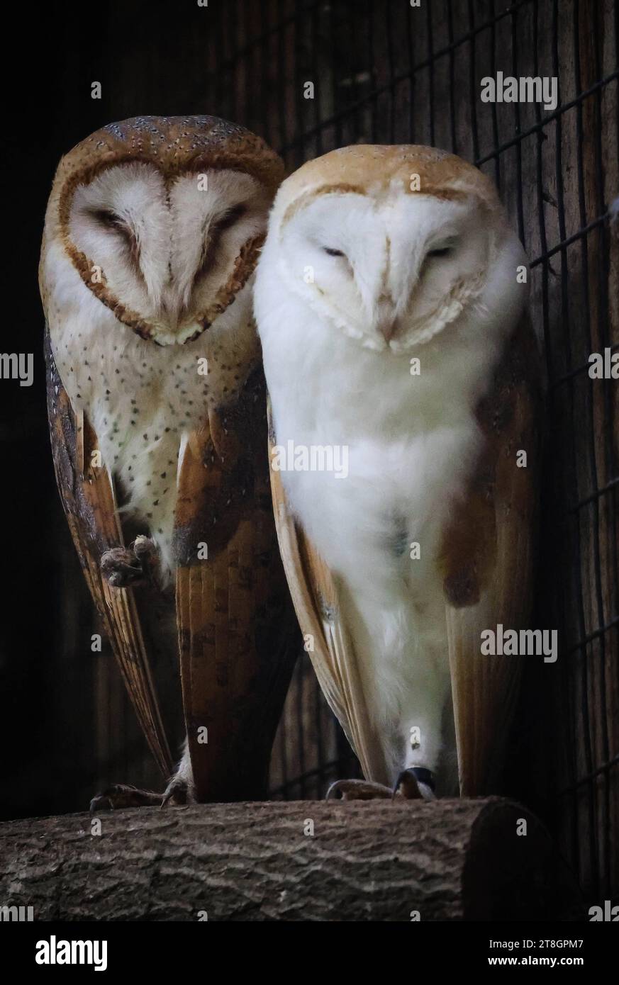 12.11.2023, Poing, GER, Unterwegs in Deutschland, Fototermin, Themenbild, Verschiedene ...