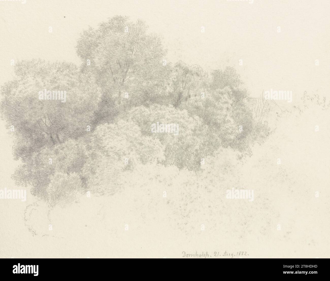 Tree felling drawing Banque de photographies et d’images à haute ...