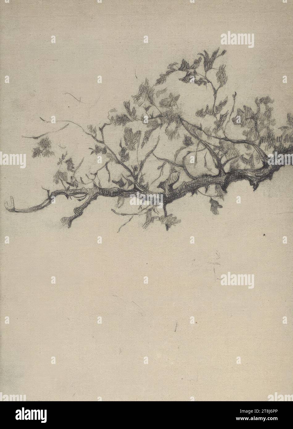 Etude d'une branche, carnet de croquis Swoboda Emerich Alexius ; 81 ...