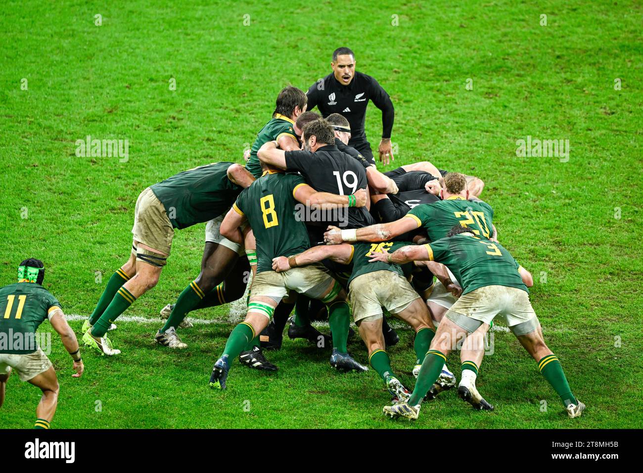 Springboks all blacks Banque de photographies et d’images à haute ...
