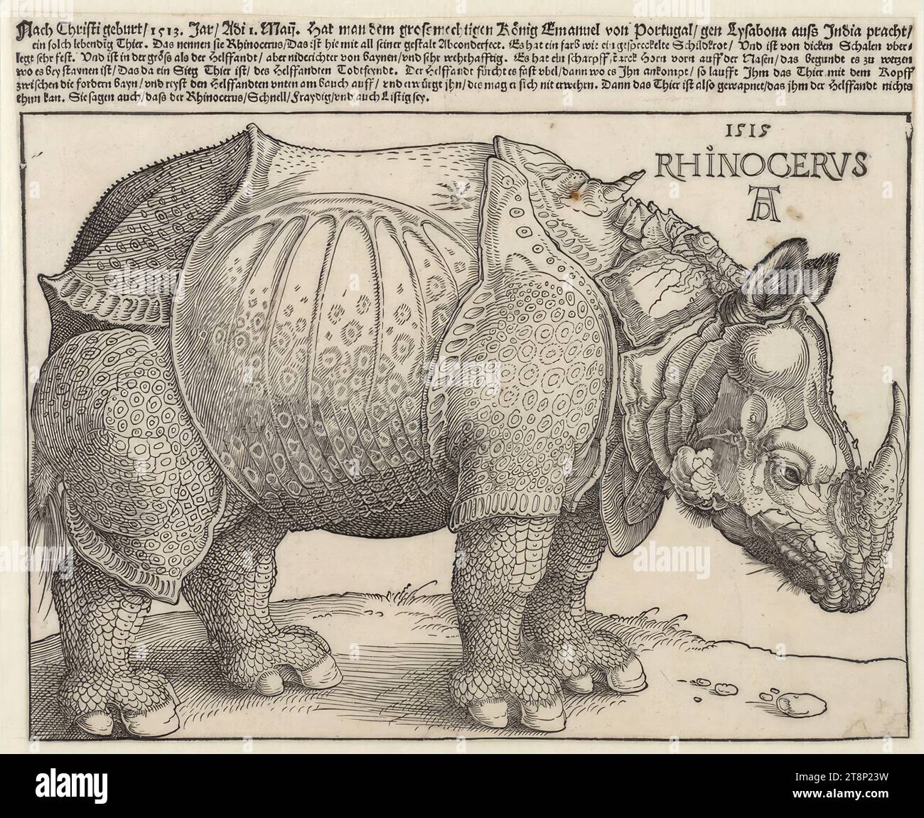 Rhinocerus (Das Rhinozeros), Albrecht Dürer (Nuremberg 1471 - 1528 ...