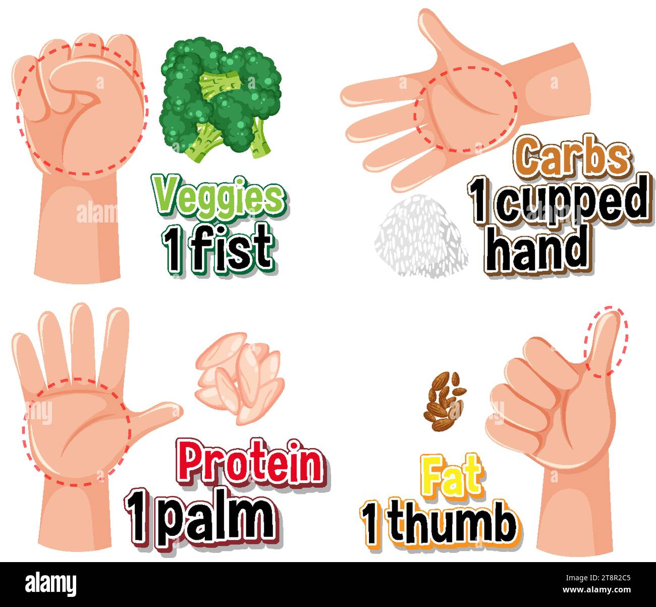 Guide des tailles des portions pour les mains Banque d'images détourées ...