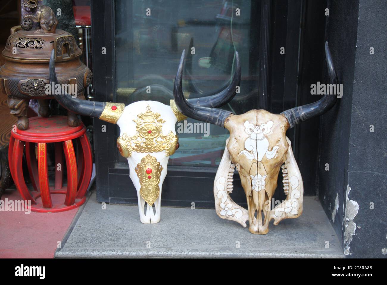 Yak skulls Banque de photographies et d’images à haute résolution - Alamy