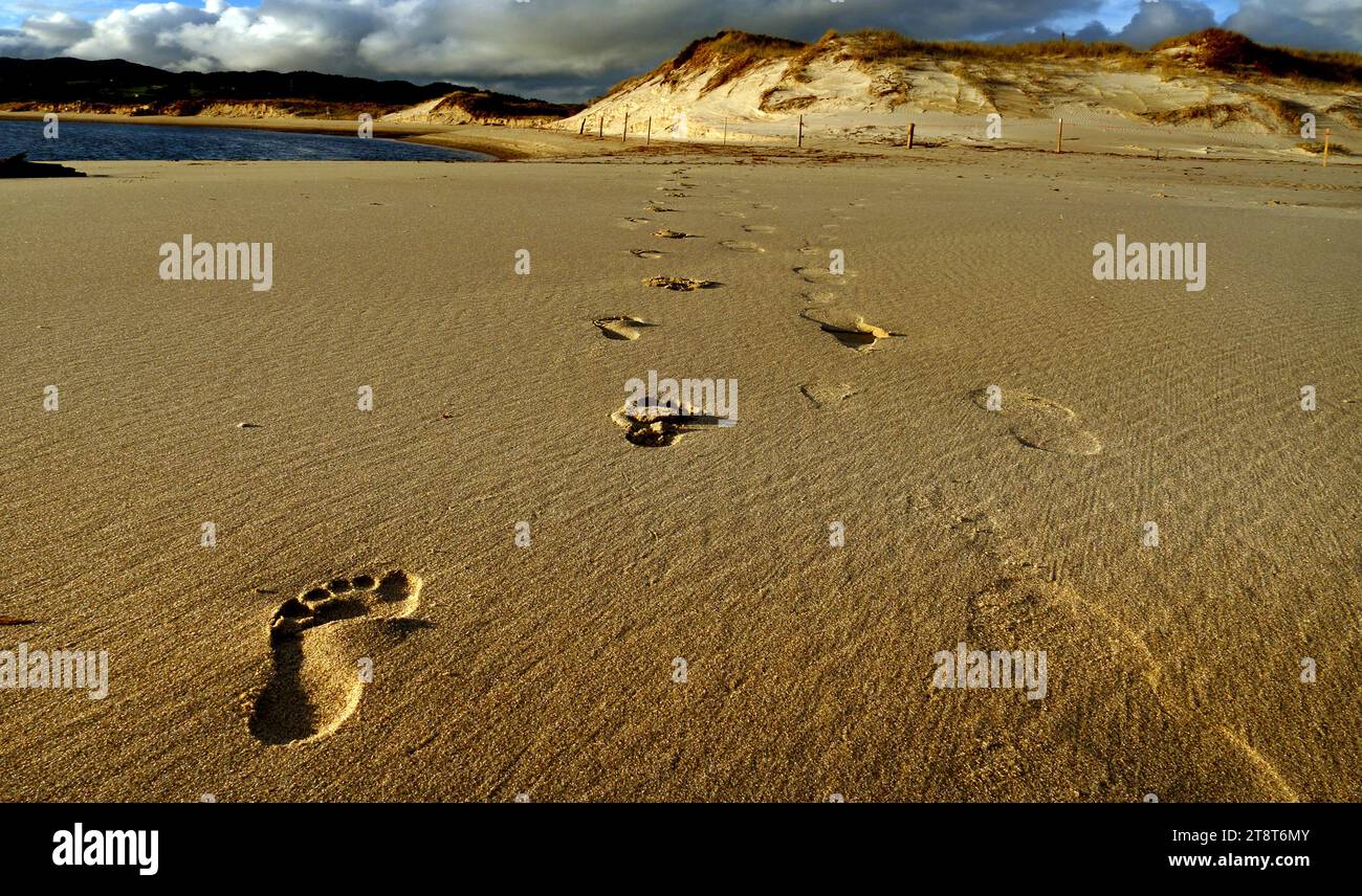 La plage de ruakaka se trouve Banque de photographies et d’images à ...