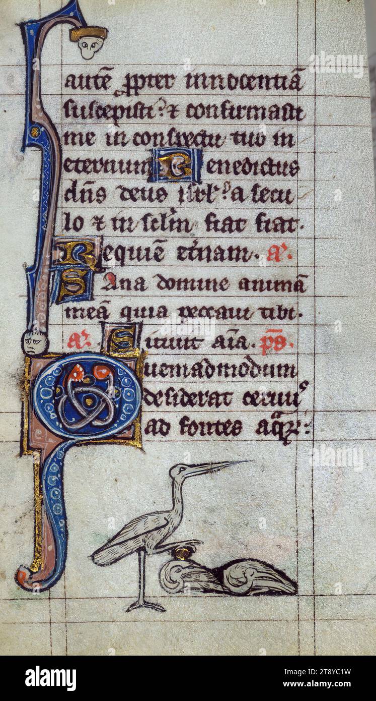 Book of Hours, Marginalia, ce petit Book of Hours est particulièrement ...