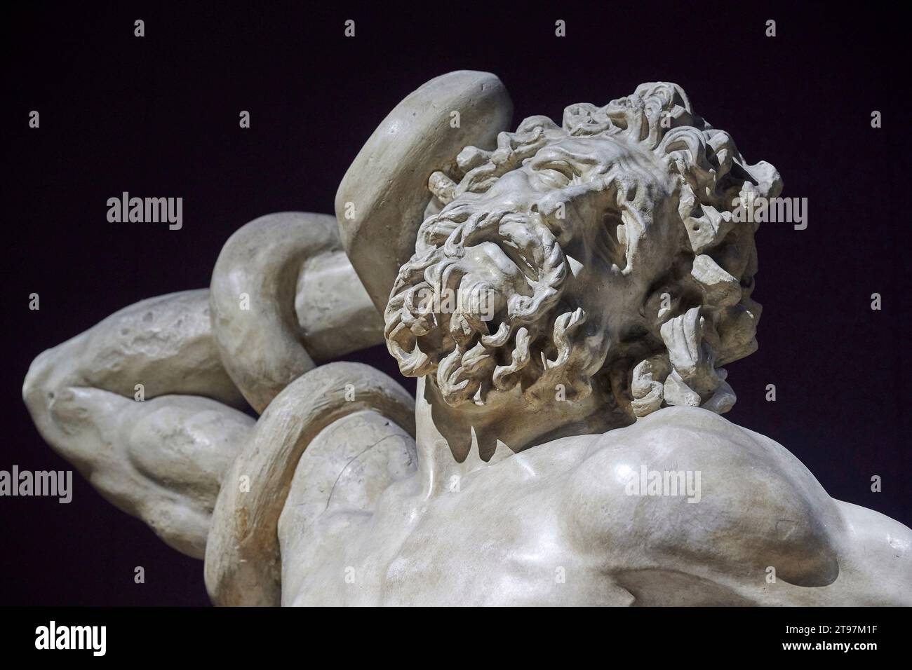 Particolare da “ Gruppo statuario di Laocoonte “ - calco in gesso di ...